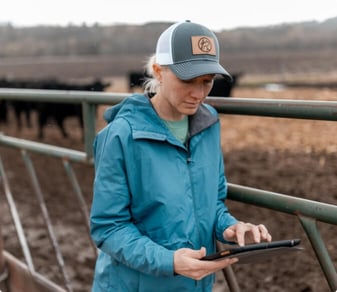 Easy-to-Use Livestock Management App | Performance Beef