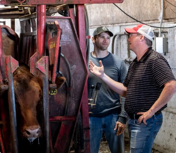 Easy-to-Use Livestock Management App | Performance Beef