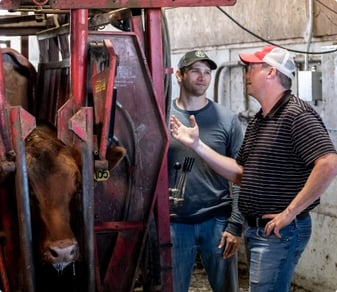 Easy-to-Use Livestock Management App | Performance Beef