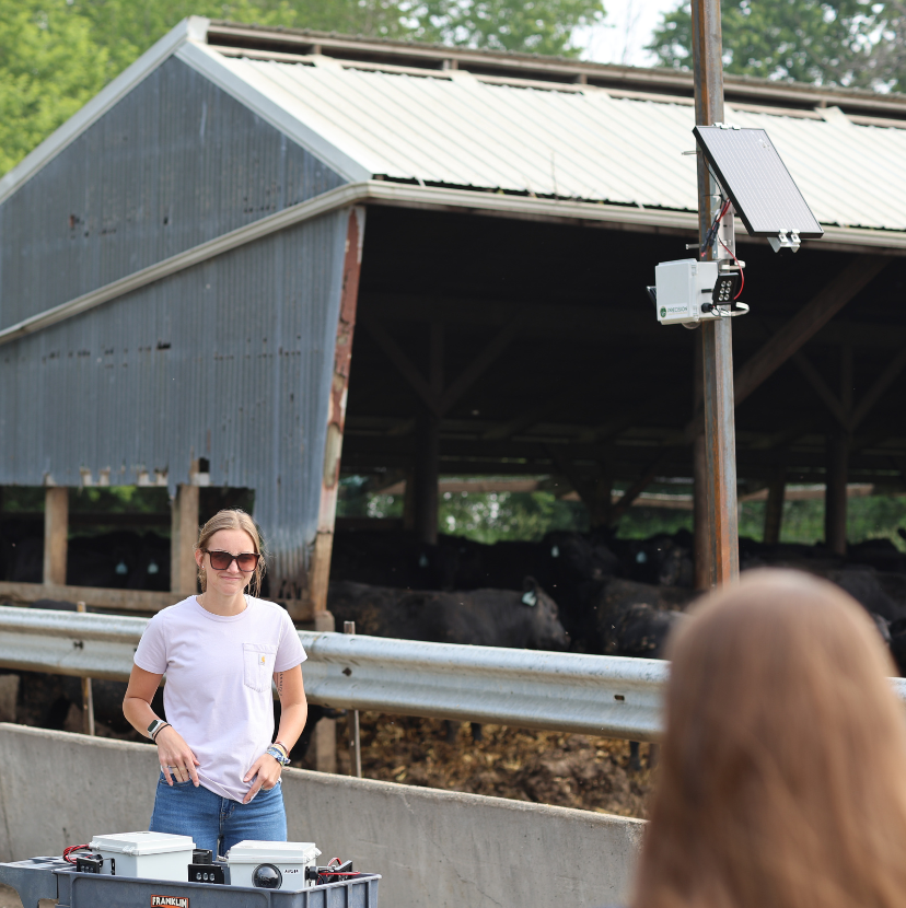 Six Cattle Technology Trends That Continue to Push Boundaries