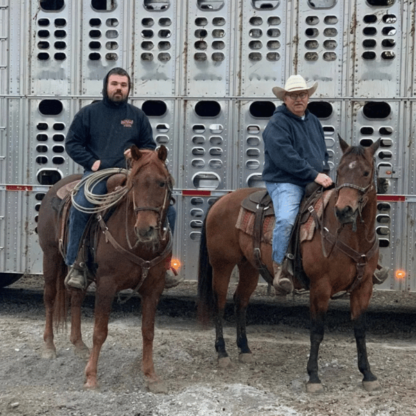 Cattle Management Software Success | Coleman Ladd | Performance Beef