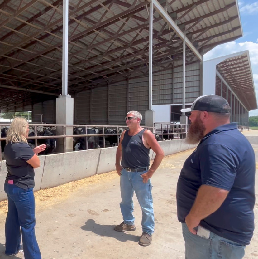 Receiving Cattle Right: Strategies to Manage Risk and Improve ...