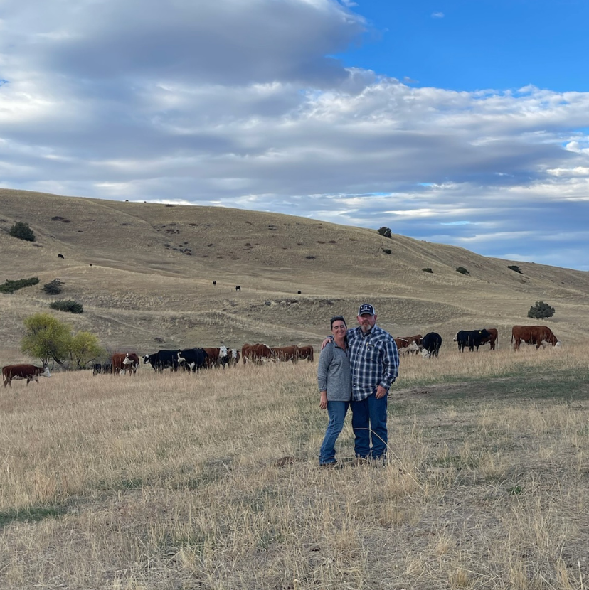 Cattle Management Software | L Bar W Success Story | Performance Beef